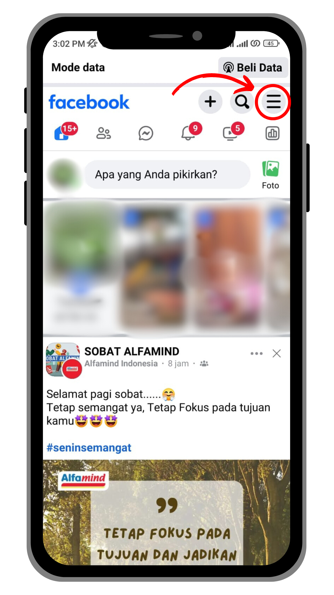 Cara Mendaftar dan Menggunakan Facebook Pro - blog alfamind
